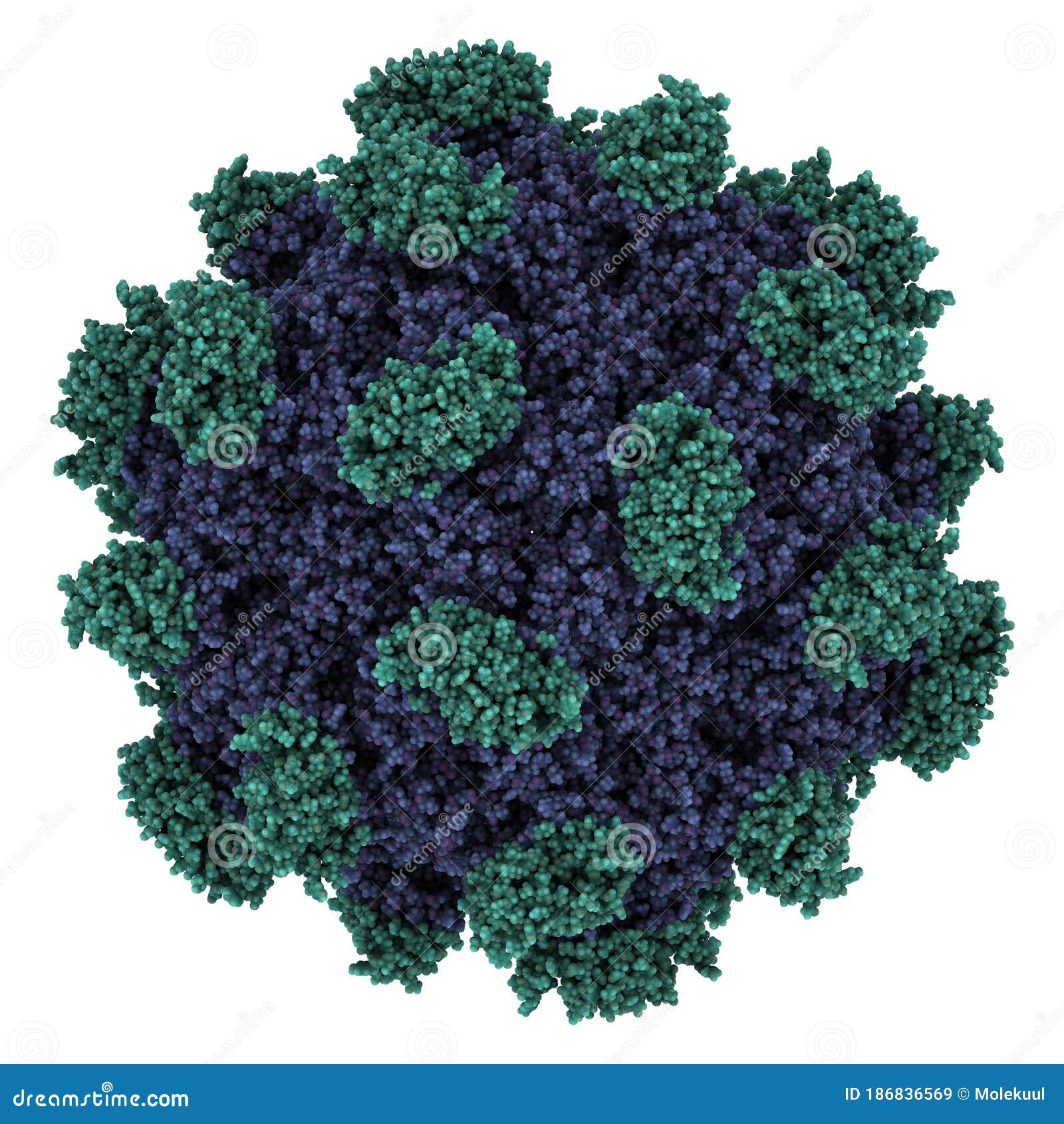 Hepatitis E Virus Capsid Structure. HEV Infection Causes Viral ...