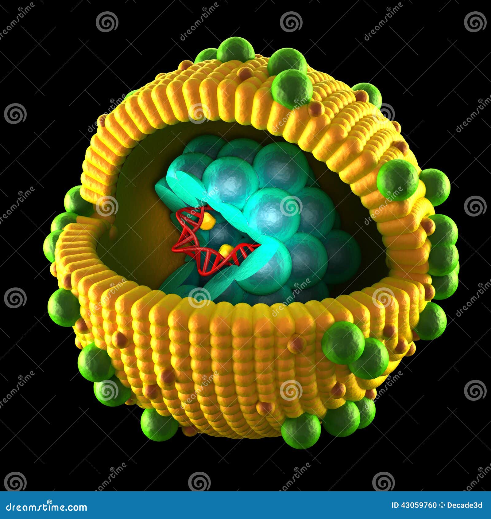 Virus Cell Mutations Process Vector Illustration Isolated On White ...