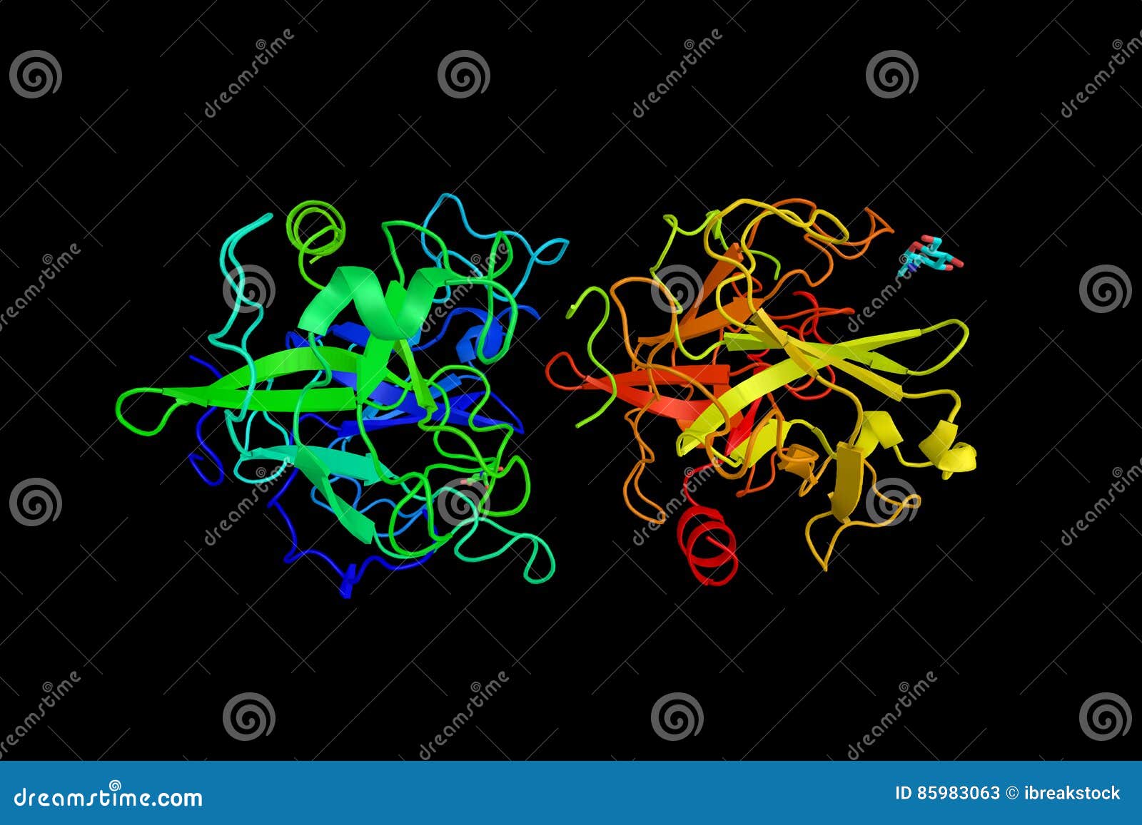 Hepatocyte Growth Factor Activator, a Protein Which Acts As Serine ...