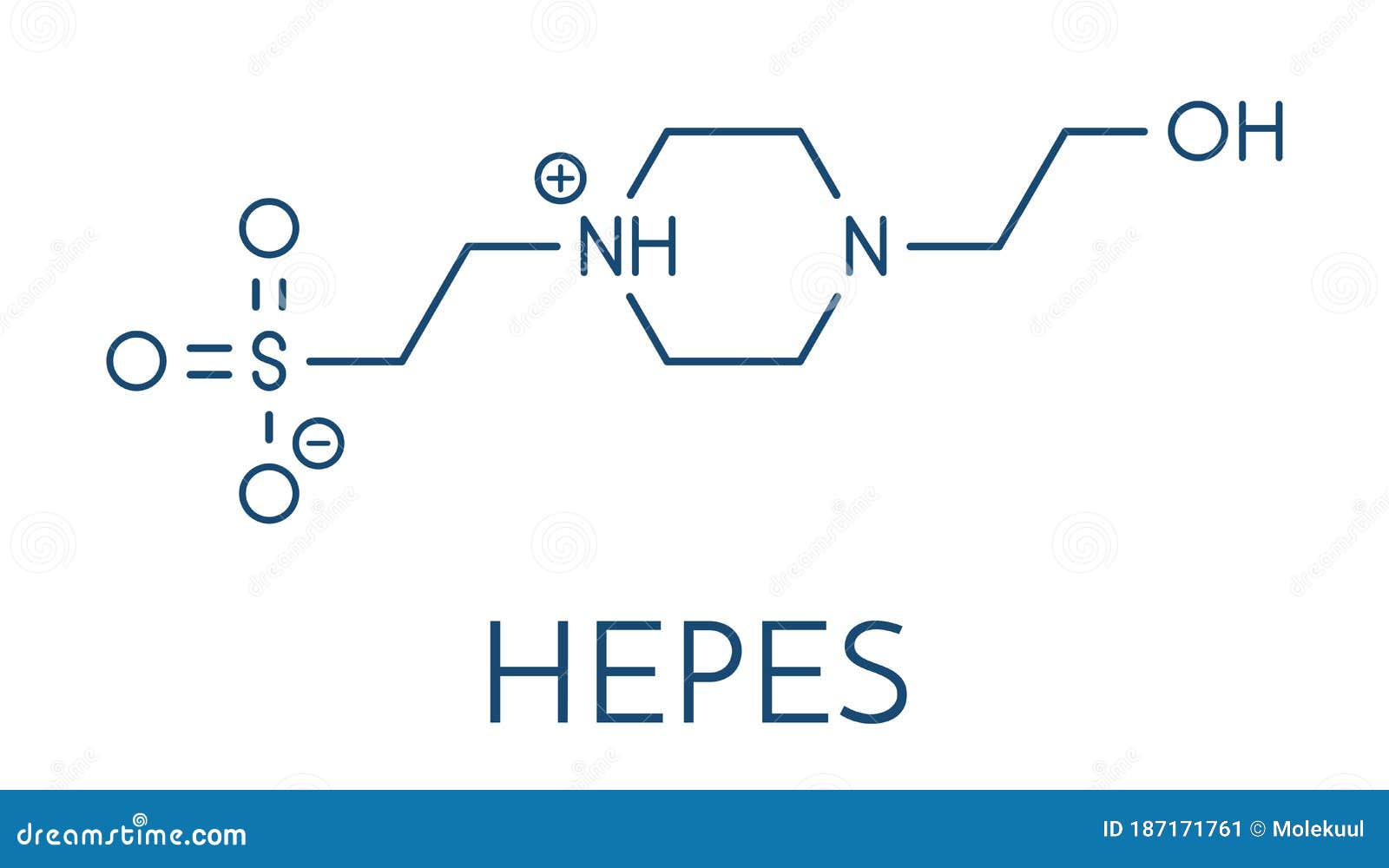 HEPES Buffering Agent Molecule. Skeletal Formula. Stock Vector ...