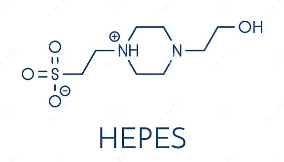 HEPES Buffering Agent Molecule. Skeletal Formula. Stock Vector ...