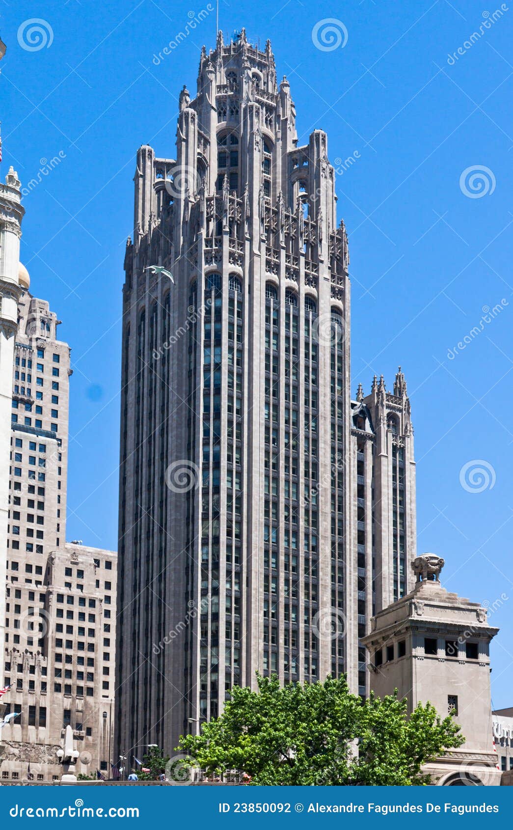 Herald Tribune Chicago photographie éditorial. Image of états - 23850092