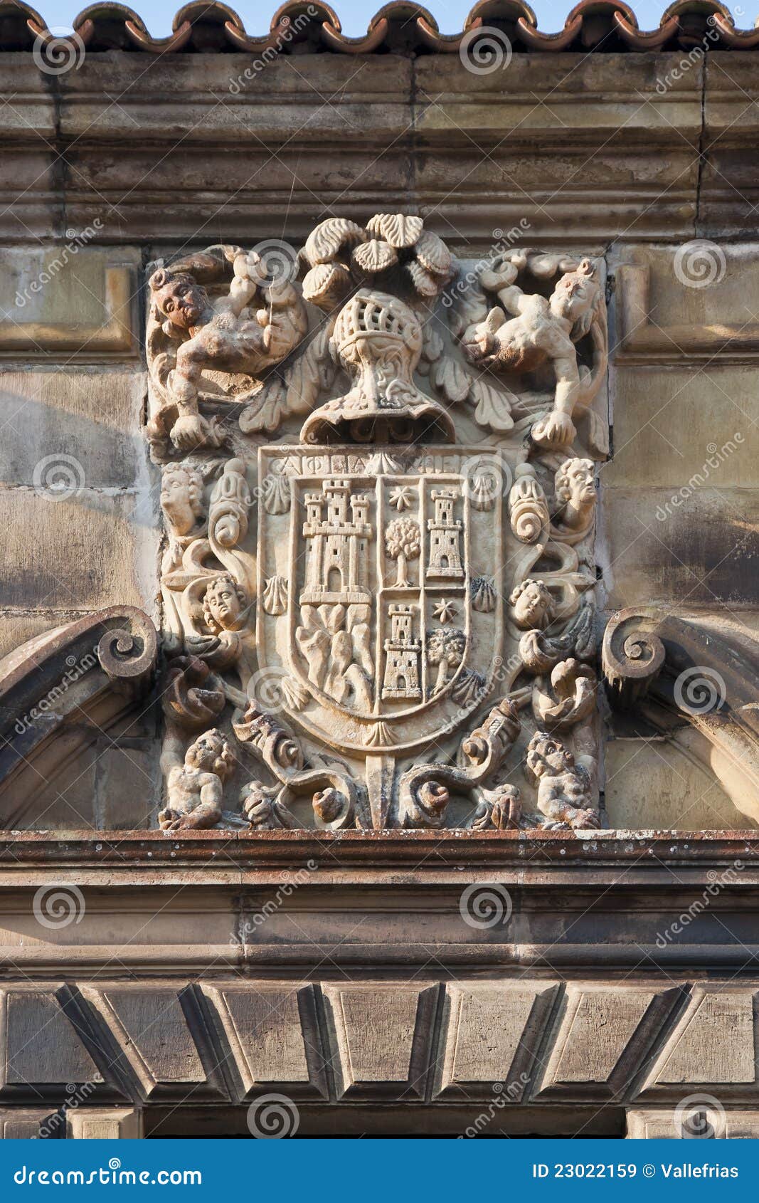 Heraldic shield stock image. Image of brown, design, blank - 23022159