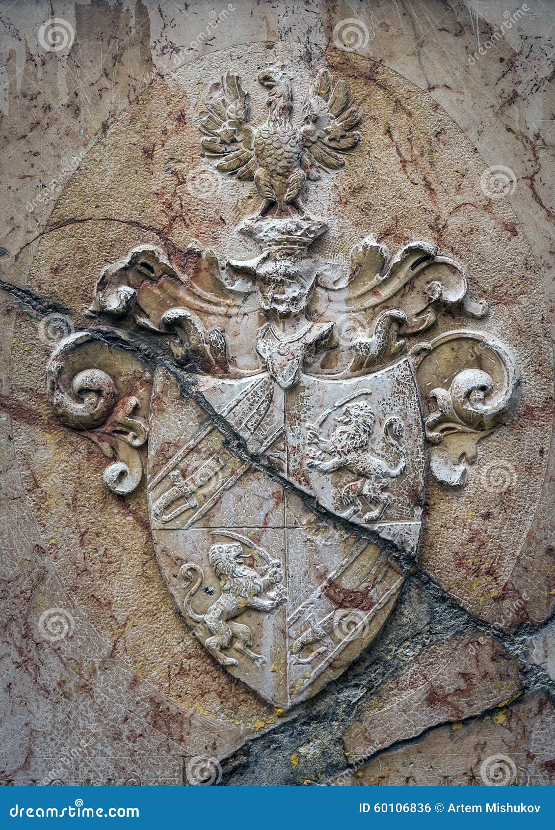 Heraldic shield stock photo. Image of feline, coat, material - 60106836