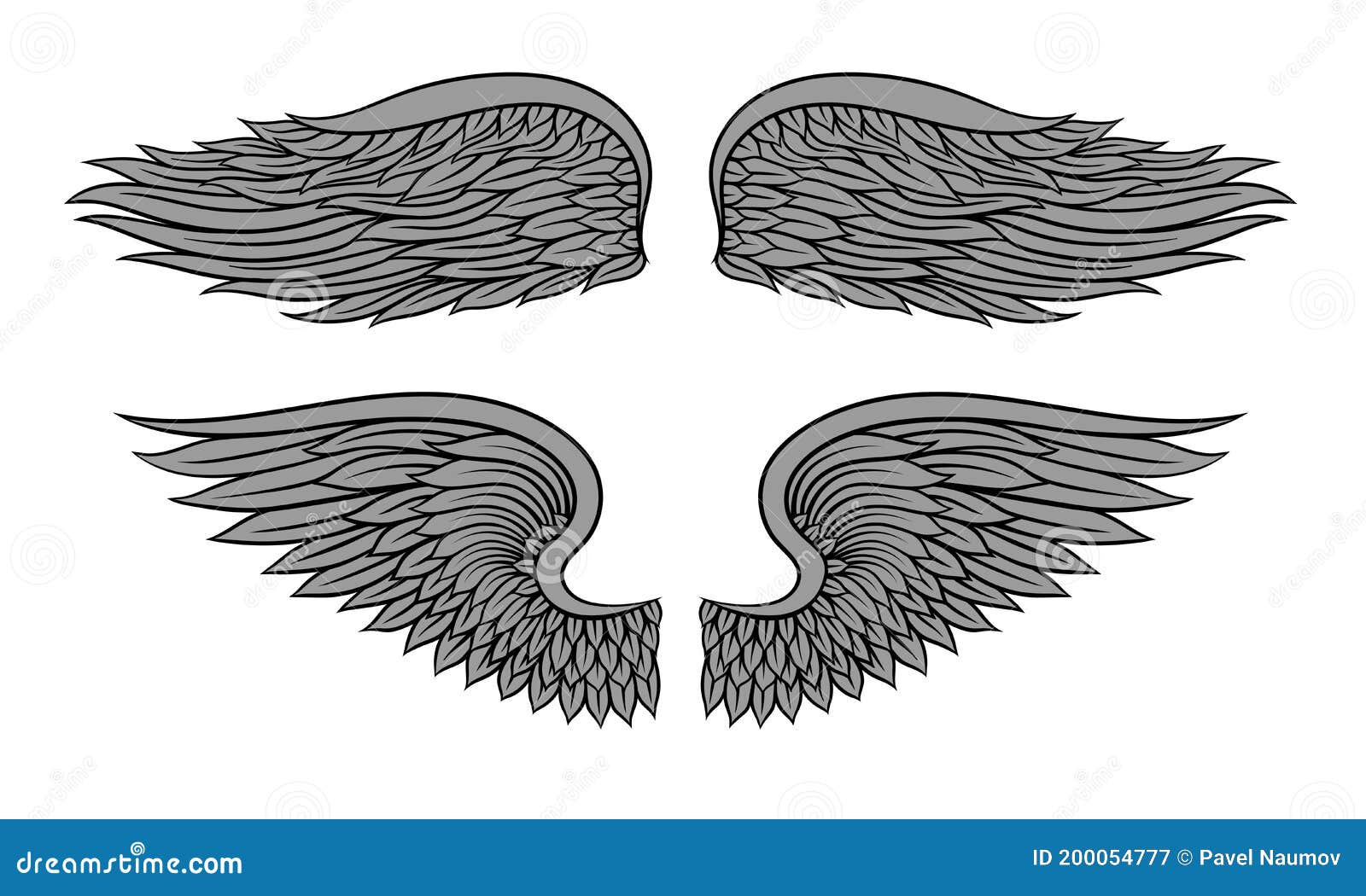 Heraldic Wings with Feathers Isolated on White Background Vector Set ...