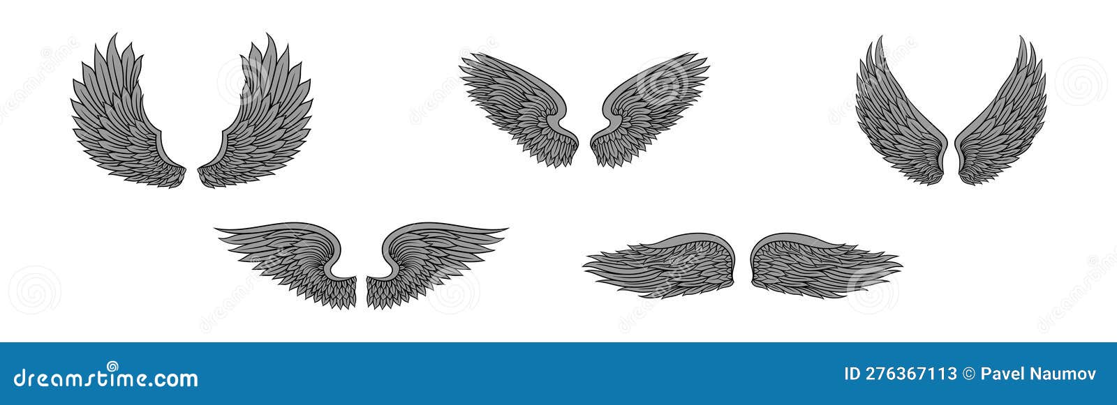 Heraldic Wings with Feathers Isolated on White Background Vector Set ...