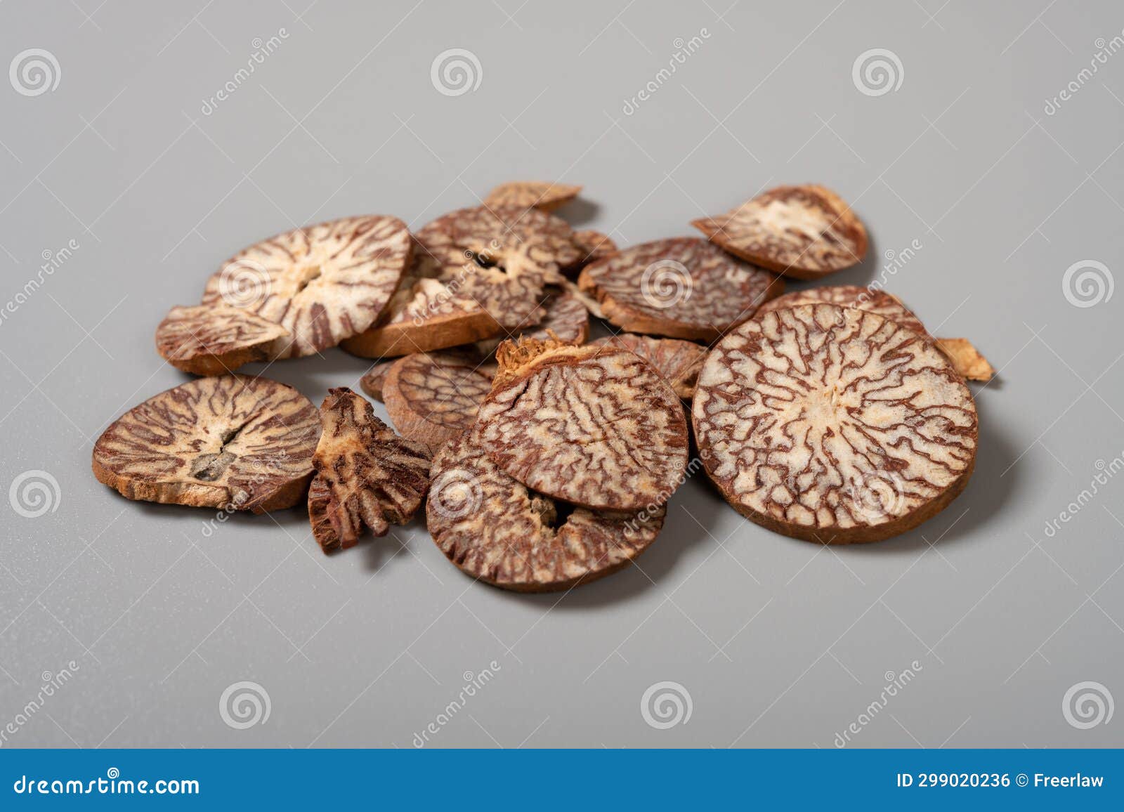Herb BingLang or Arecae Semen or Betelnutpalm Seed Stock Photo - Image ...