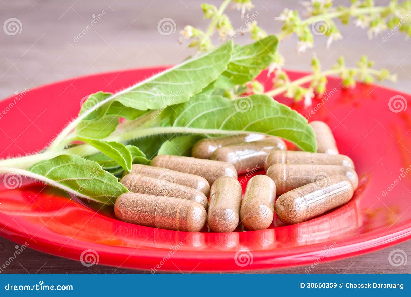 Herb capsule stock image. Image of nutritional, capsule - 30660359