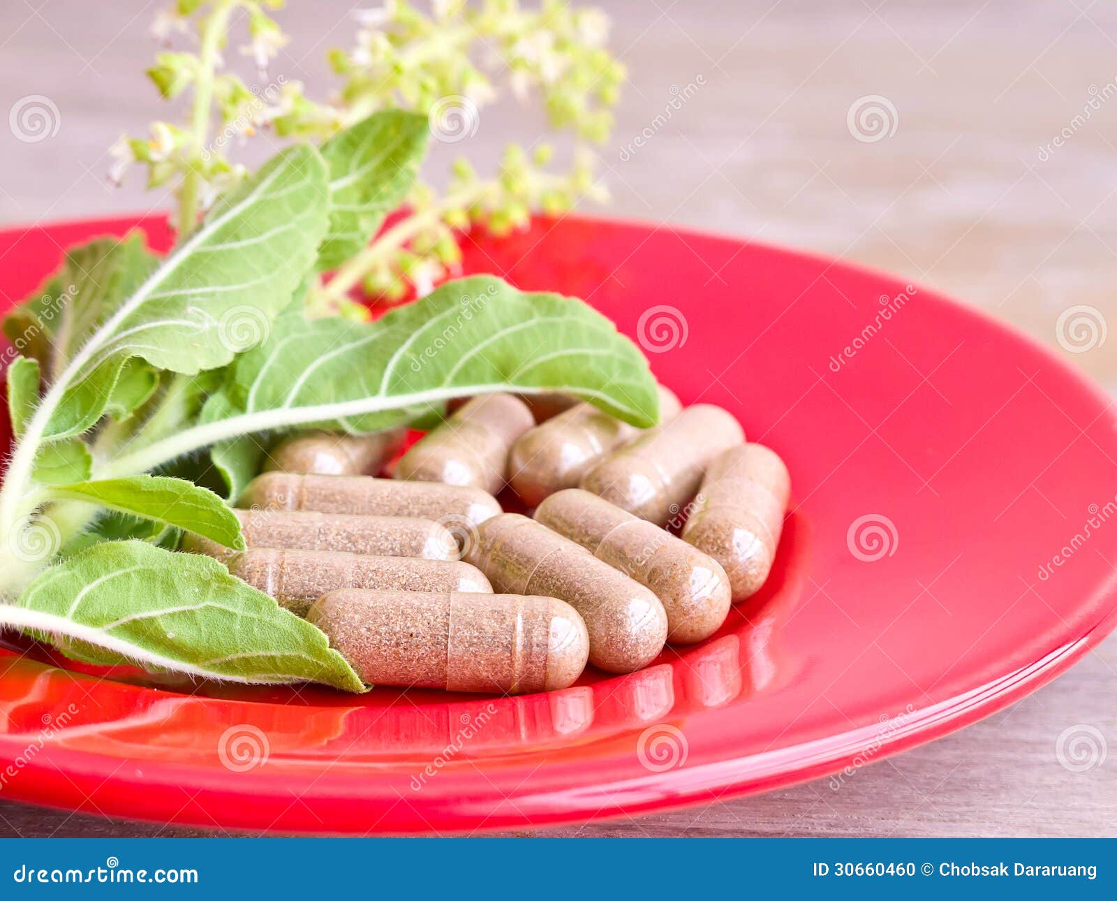 Herb capsule stock photo. Image of health, concepts, nature - 30660460