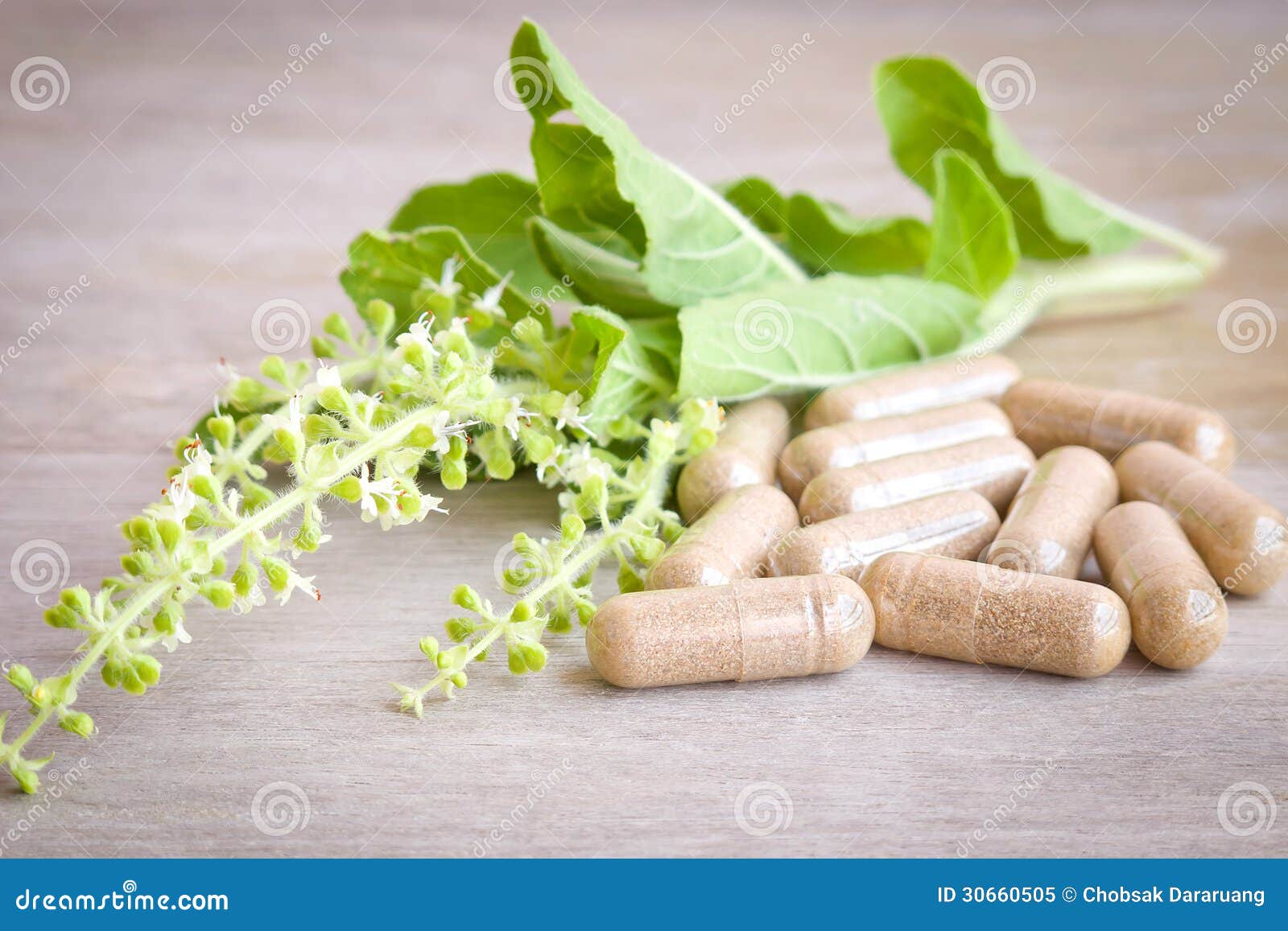 Herb capsule stock image. Image of healthcare, homeopathic - 30660505