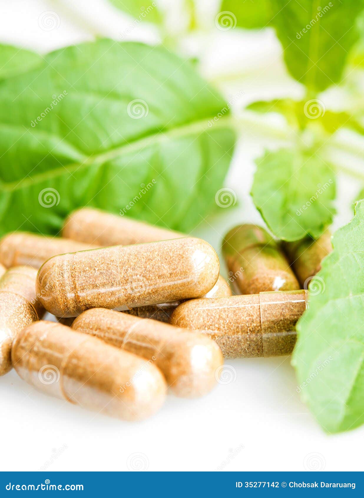 Herb capsule stock photo. Image of natural, alternative - 35277142