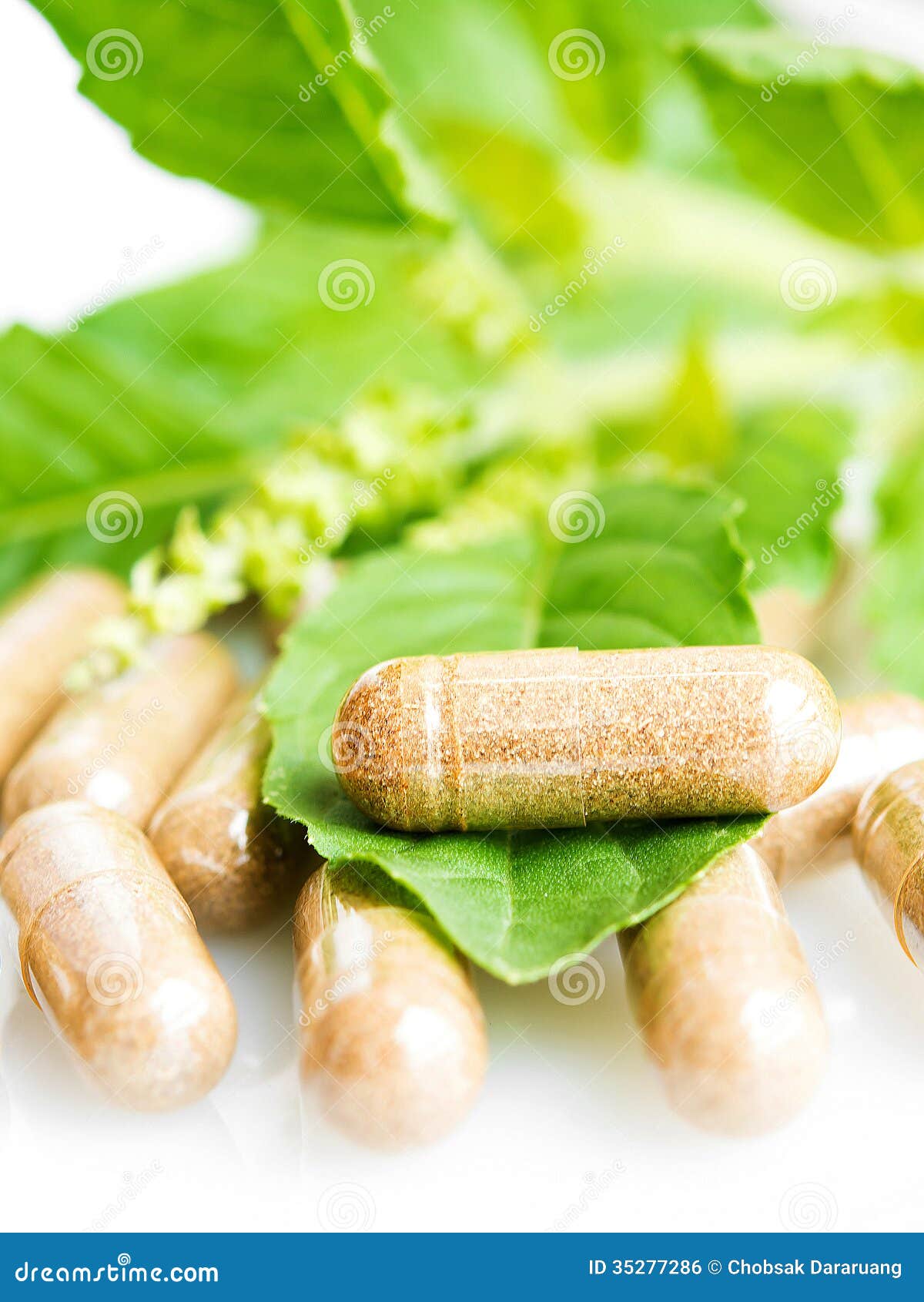 Herb capsule stock photo. Image of herb, pharmacy, medicine - 35277286