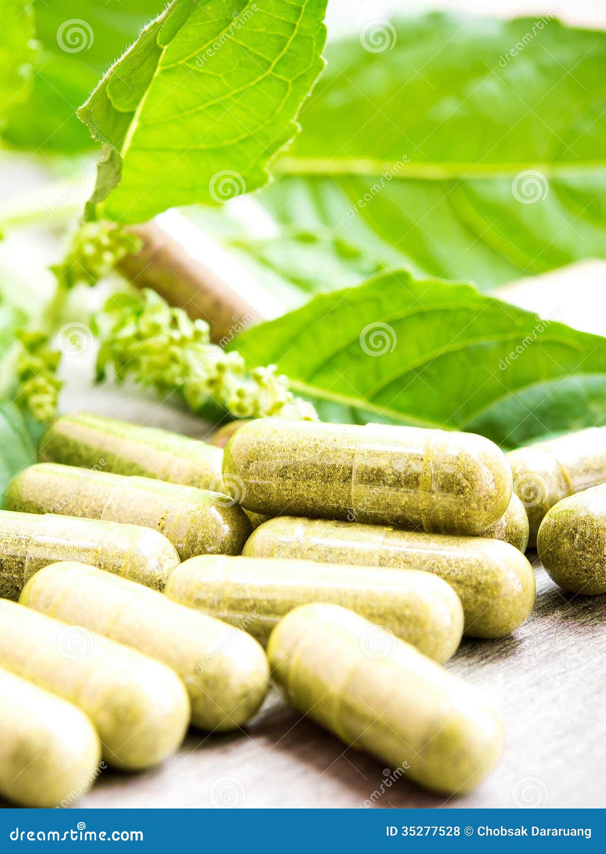 Herb capsule stock photo. Image of aroma, health, green - 35277528