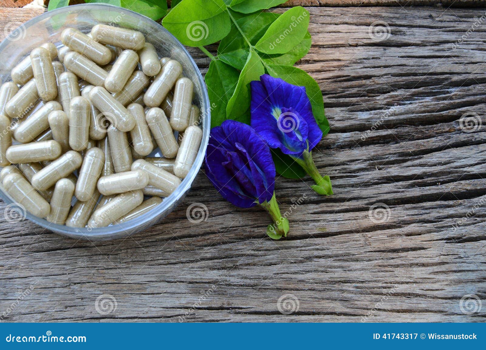 Herb capsule stock image. Image of health, dose, healthcare - 41743317