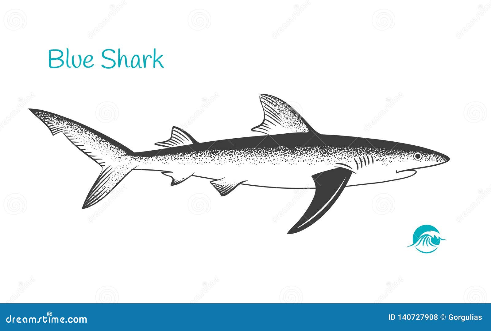 Blue Shark Hand-drawn Illustration Stock Vector - Illustration of ...