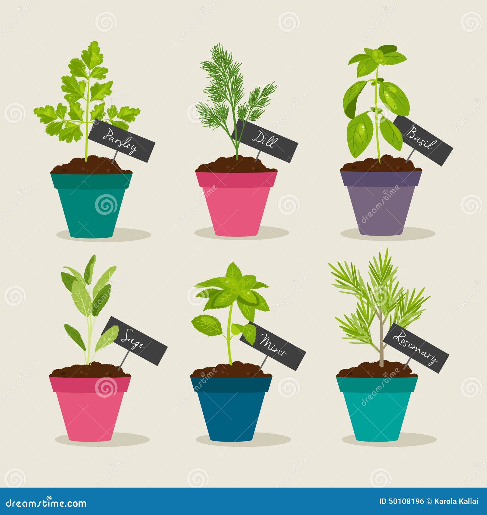 Herb Garden with Pots of Herbsn Stock Vector - Illustration of rosemary ...