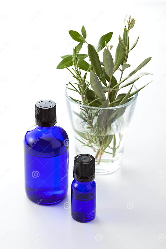 Herb leaf and dropper stock photo. Image of homeopathic - 20733070
