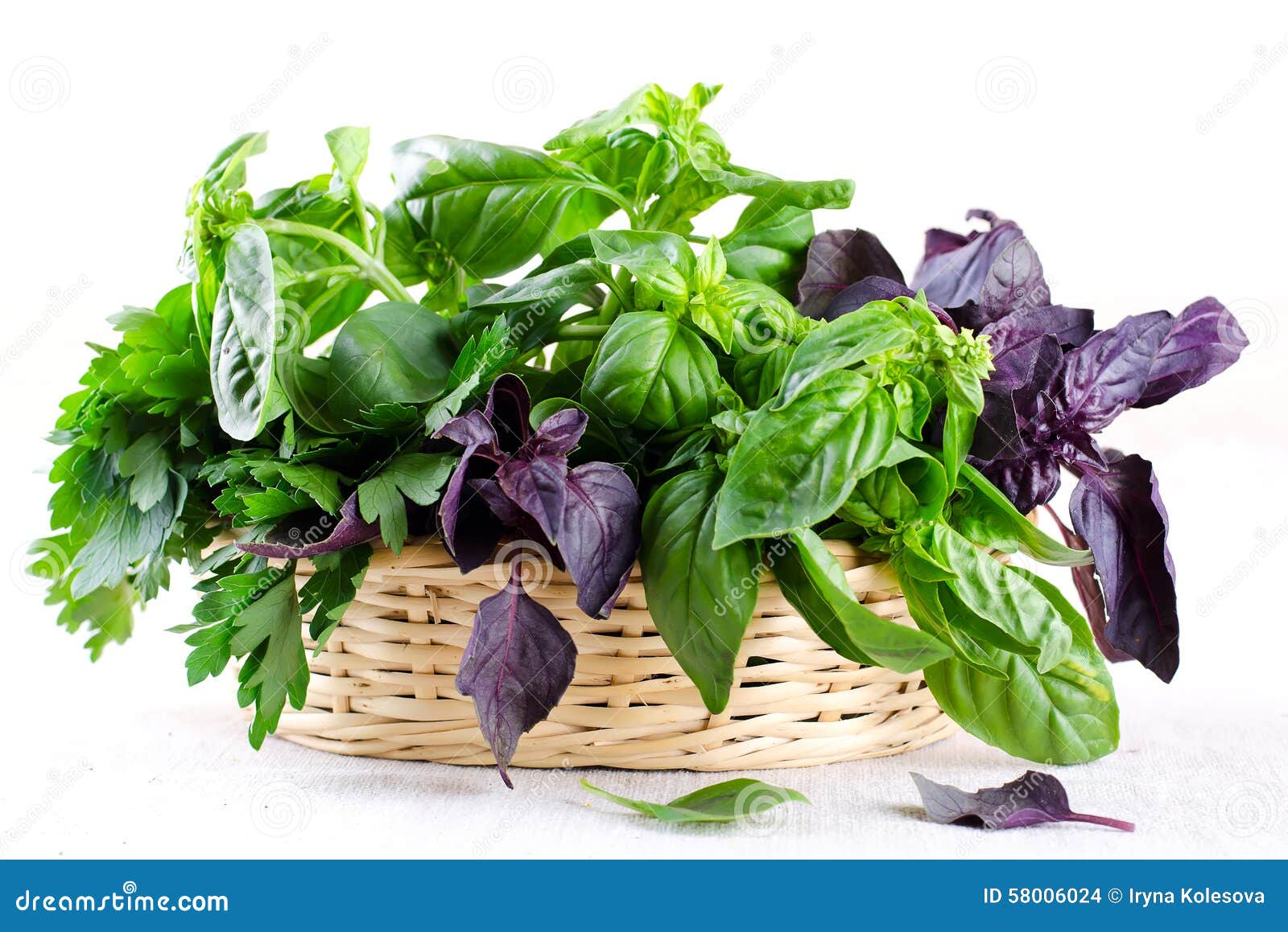 Herb Leaf Selection in a Rustic Wooden Basket Stock Photo - Image of ...
