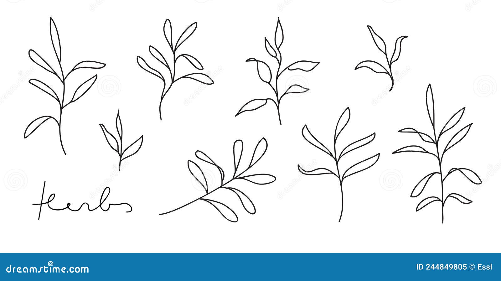 Herb Line Art Collection. Abstract Leaves Continuous Line Drawing Set ...