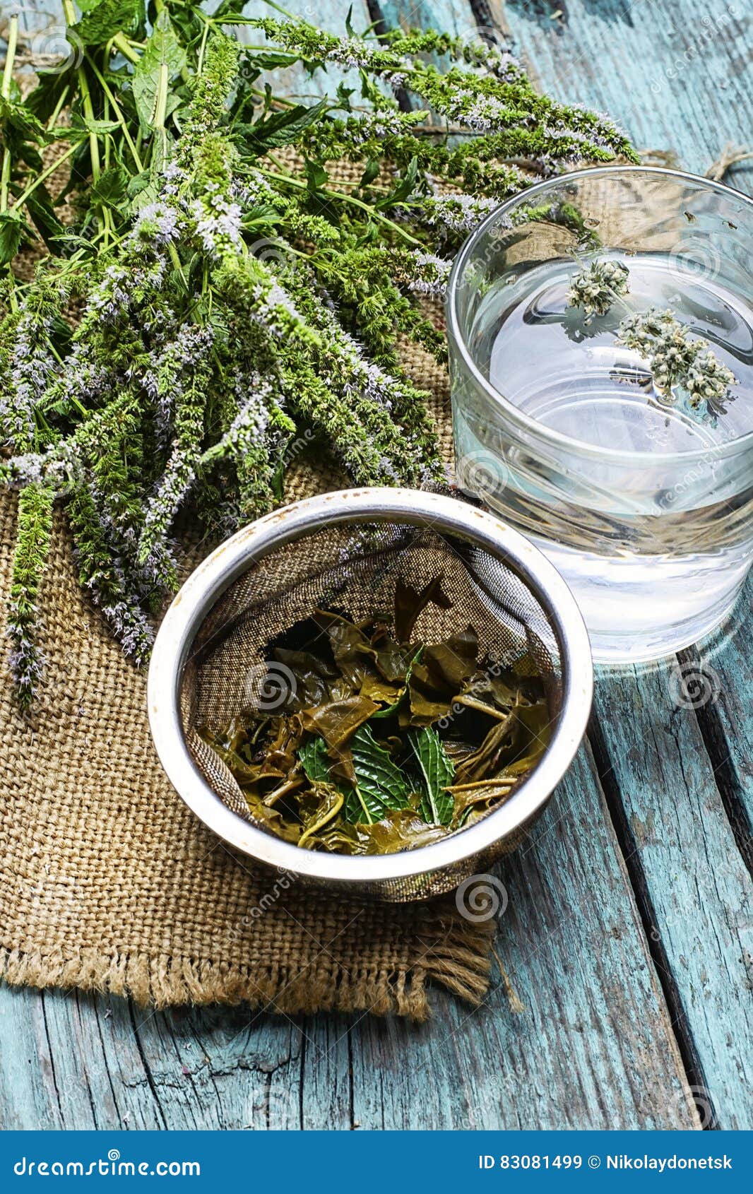 Herb mint tea stock image. Image of drinks, plant, medicine - 83081499