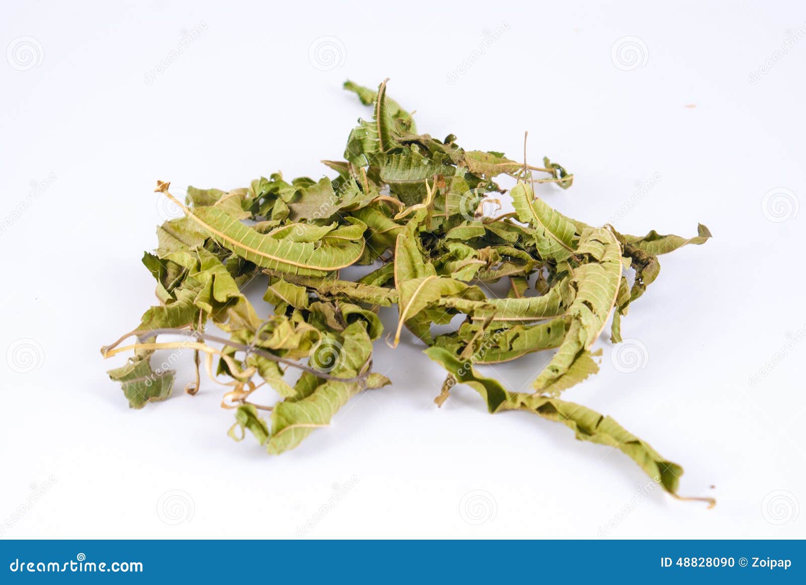Herb Mix In White Background Stock Photo - Image of floral, center ...