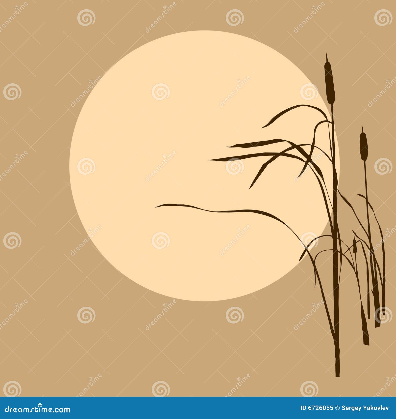Reed Closeup Stock Illustrations – 1,080 Reed Closeup Stock ...
