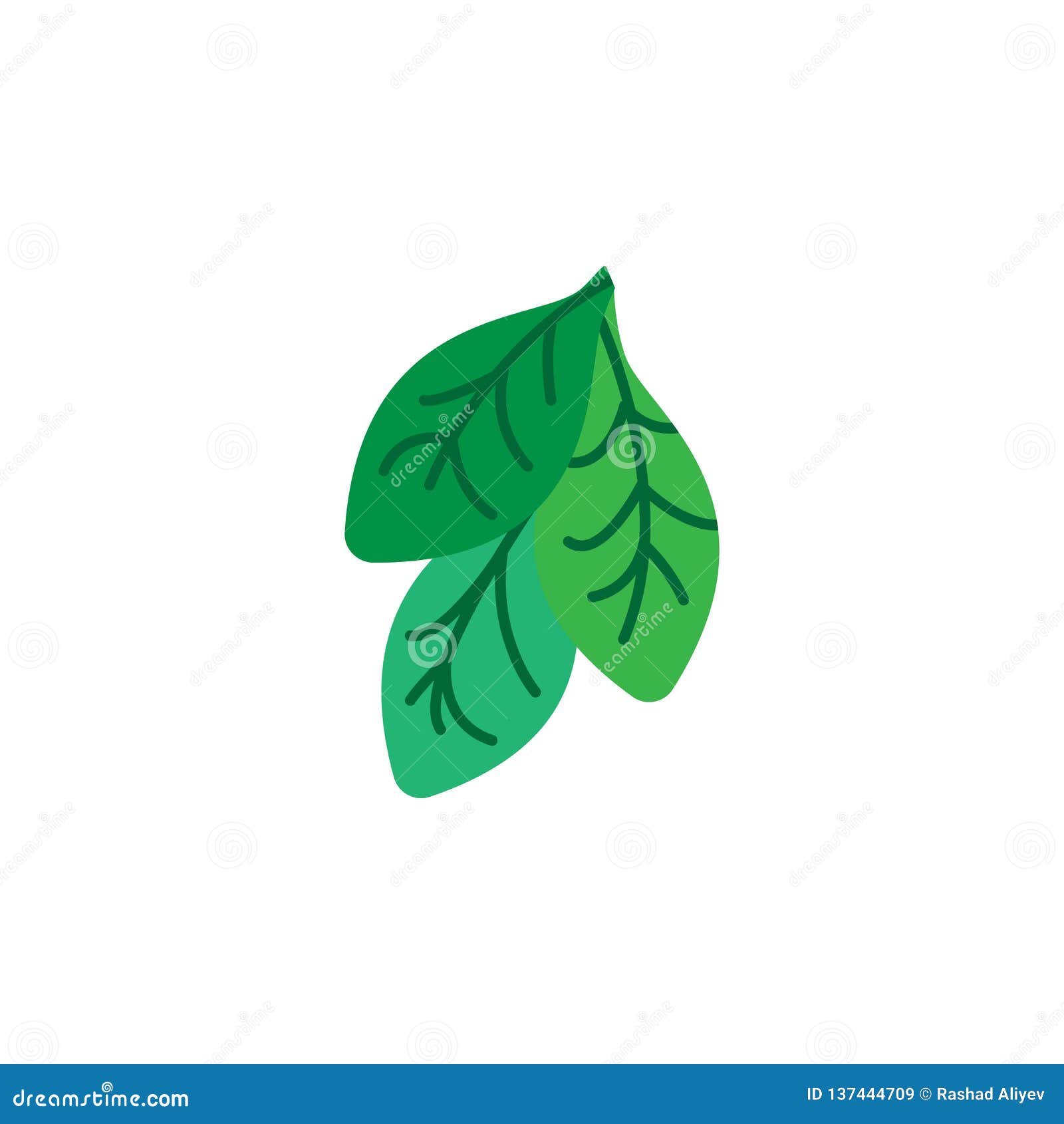 Herb, Spinach Icon. Element of Herb Icon for Mobile Concept and Web ...