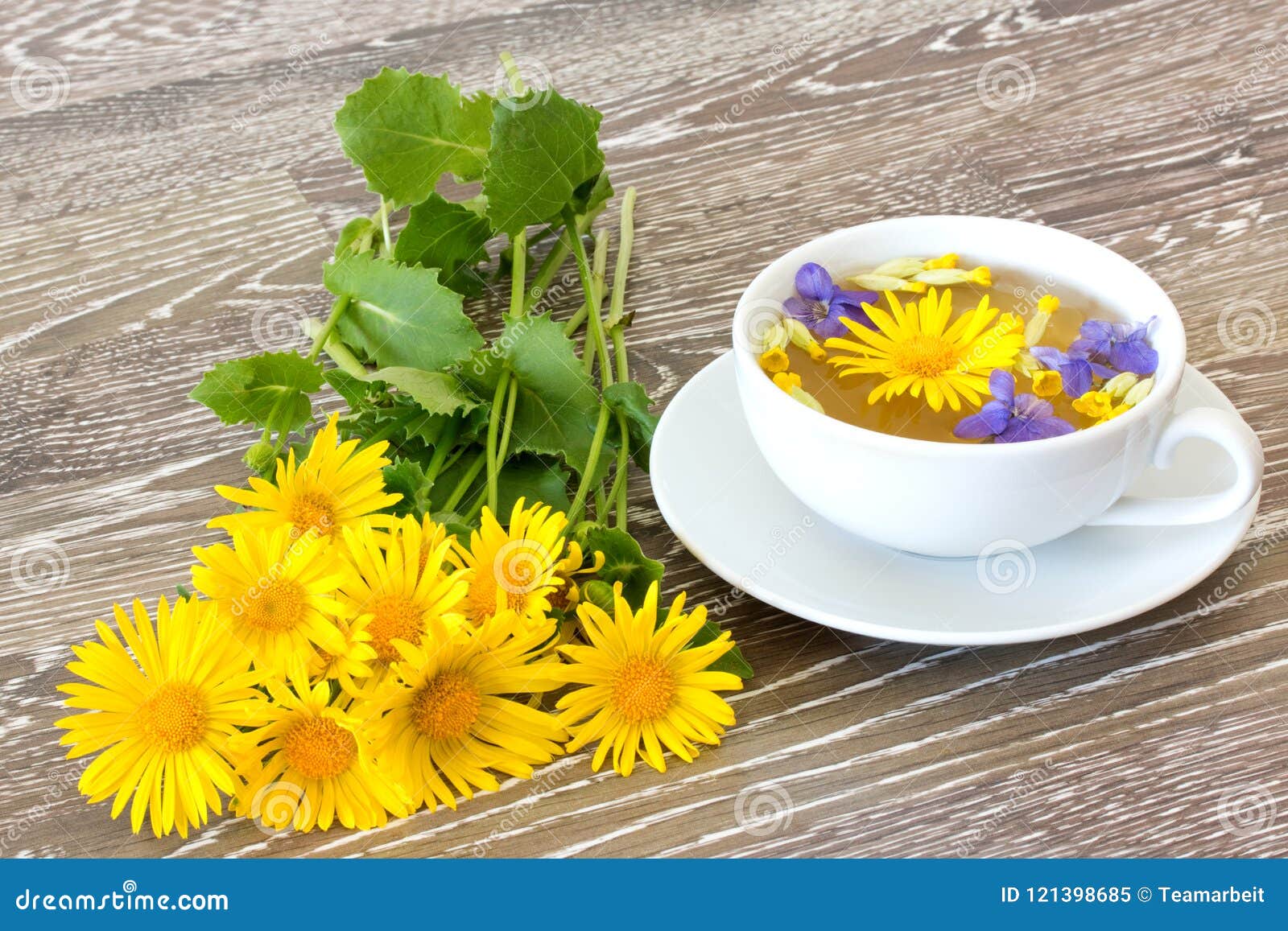 Herb tea with coltsfoot stock image. Image of medical - 121398685