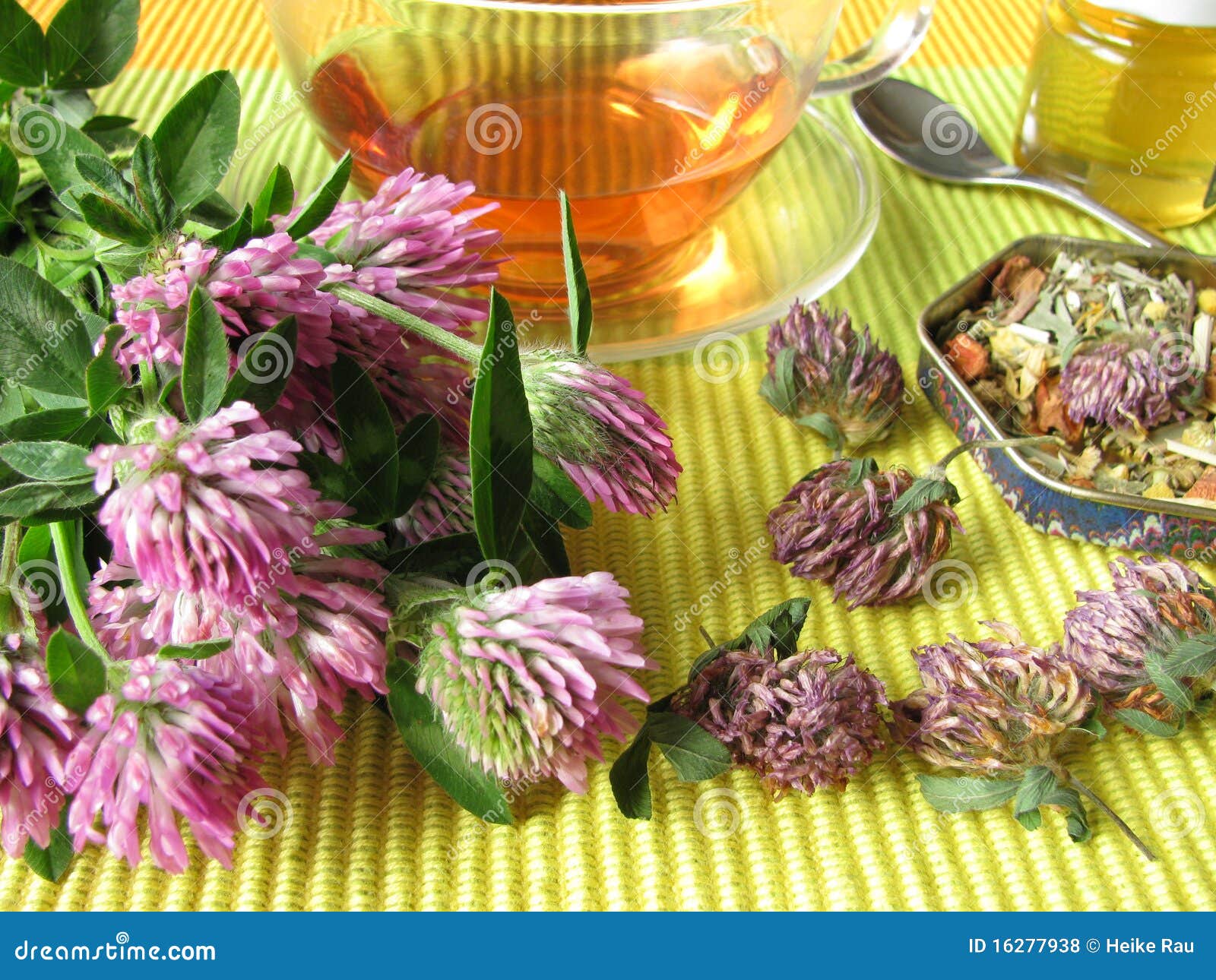 Herb tea with red clover stock photo. Image of plant - 16277938