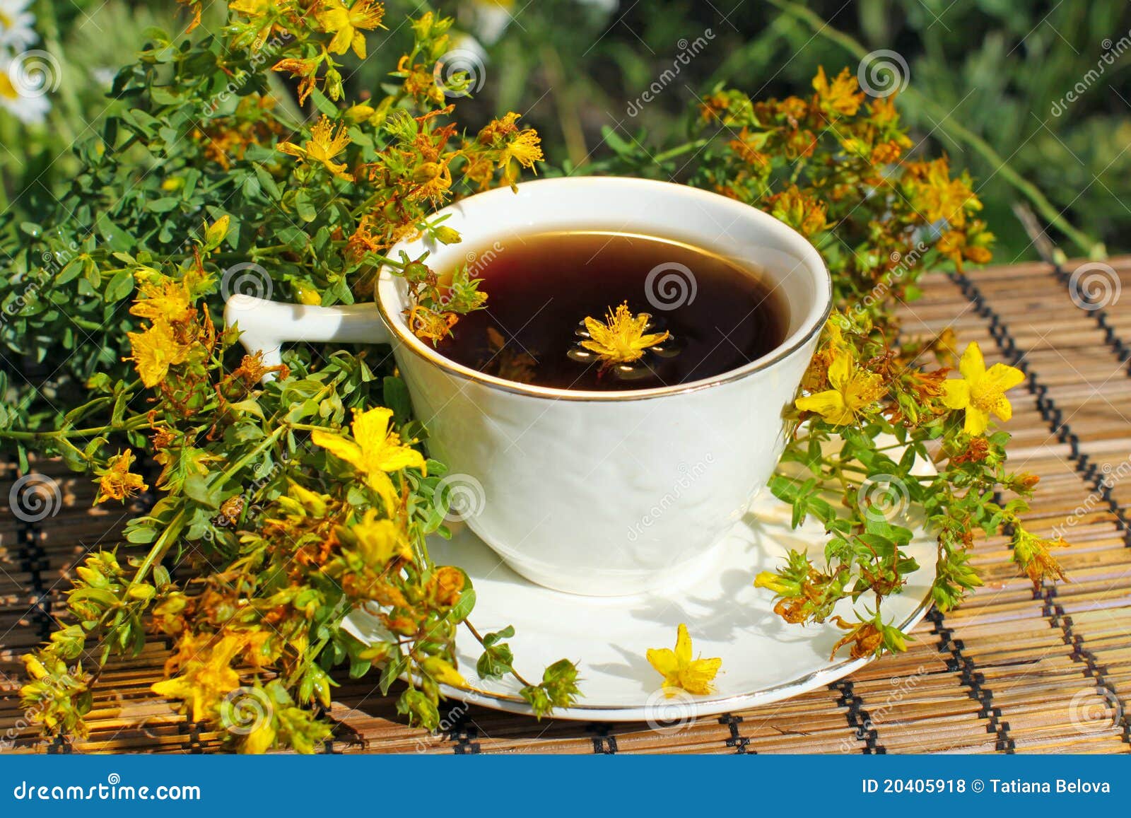 Herb tea time stock photo. Image of black, broth, aromatic - 20405918