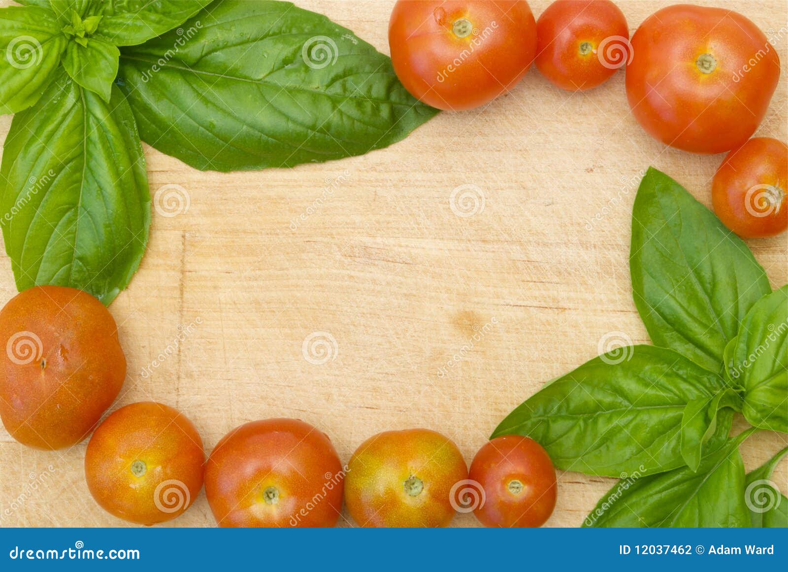 Herb and tomato border stock photo. Image of organic - 12037462