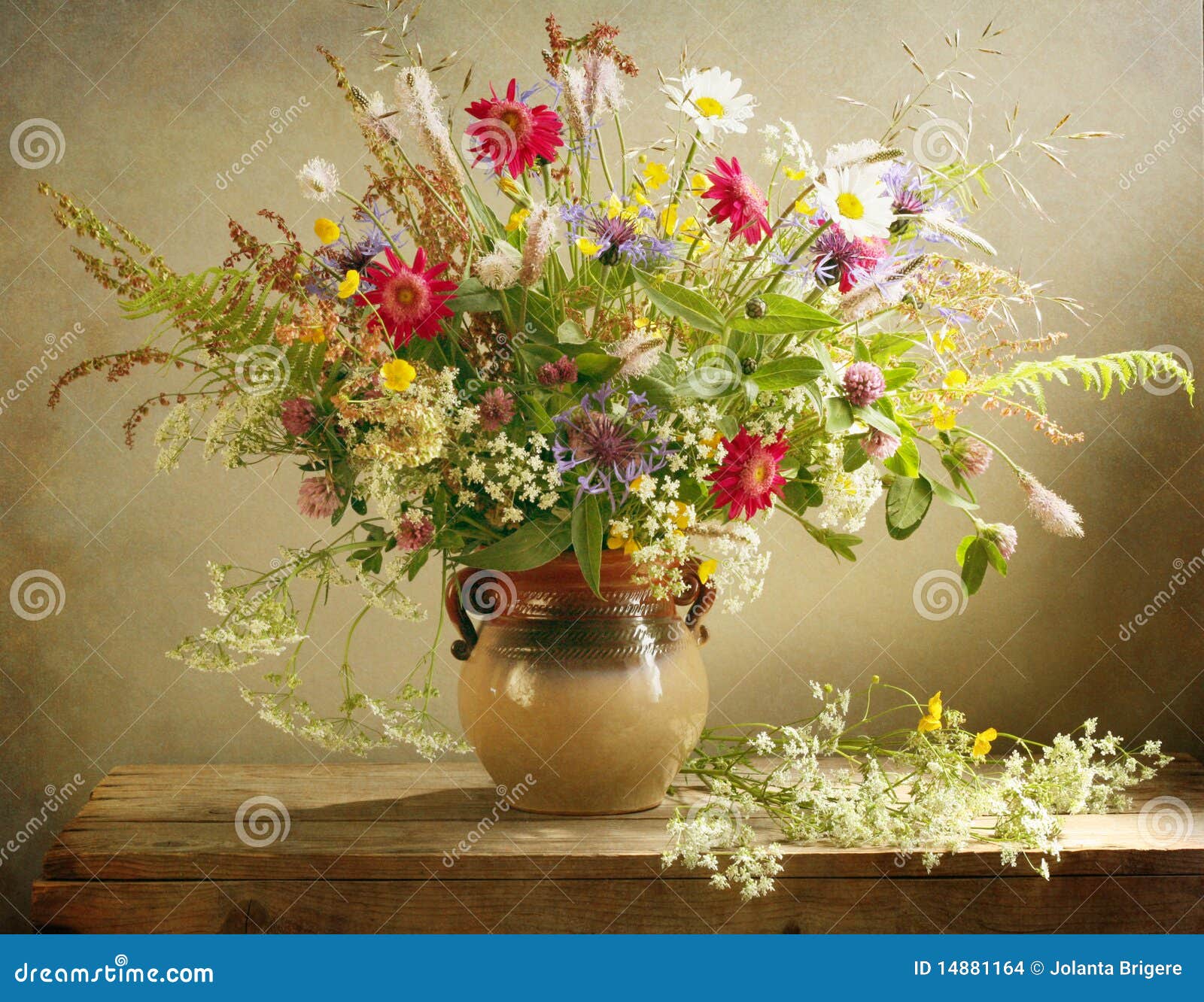 Herbage bouquet stock photo. Image of summer, mead, brown - 14881164