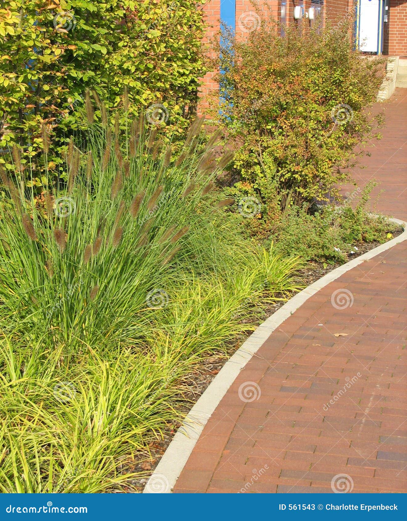 324 Mulch Border Stock Photos - Free & Royalty-Free Stock Photos from ...