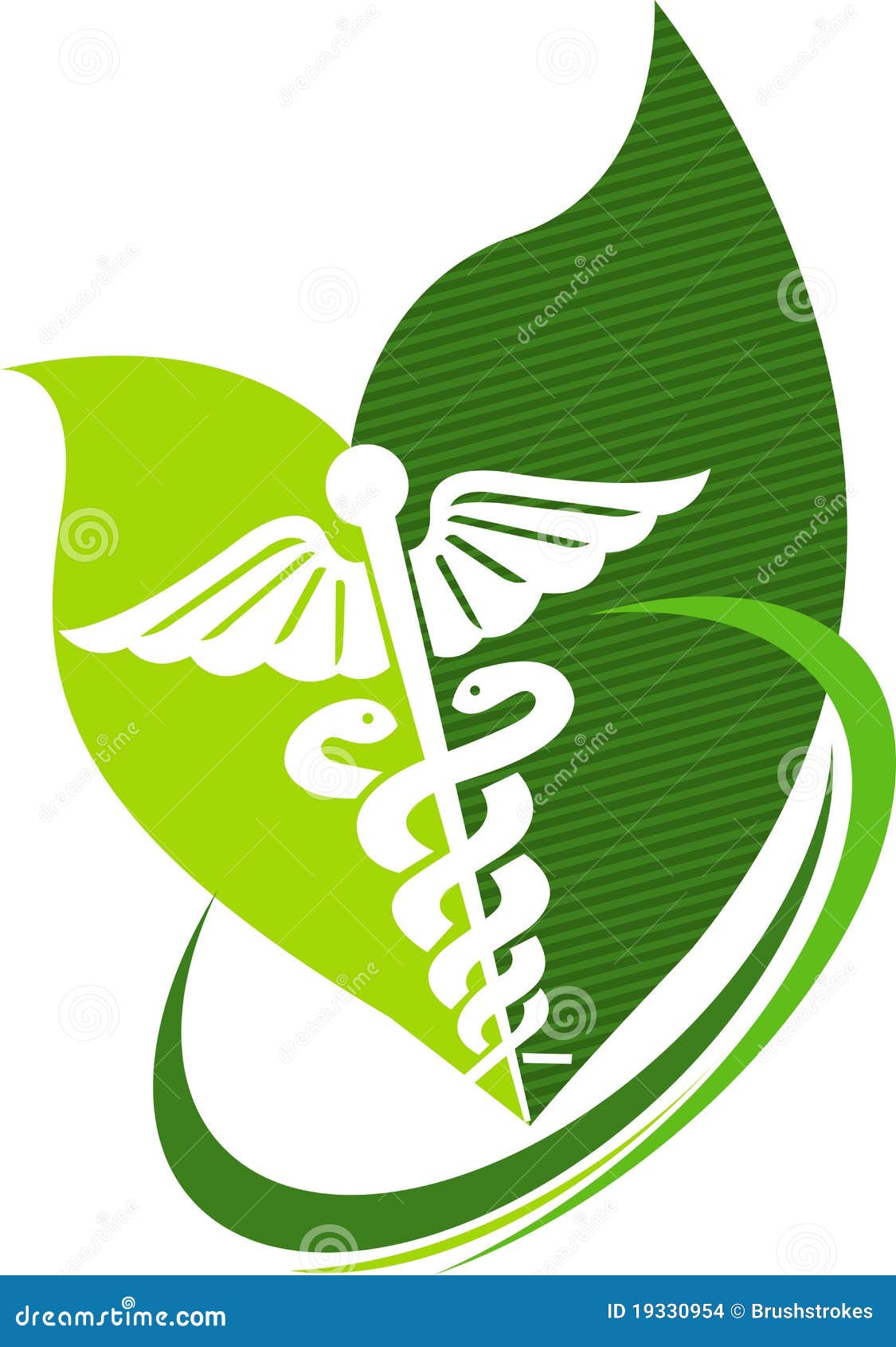 Herbal caduceus stock illustration. Illustration of herbs - 19330954