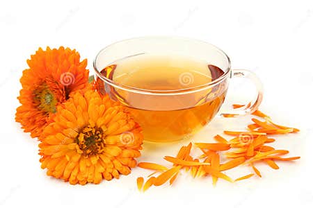 Herbal calendula tea stock photo. Image of beverage, calendula - 8747816
