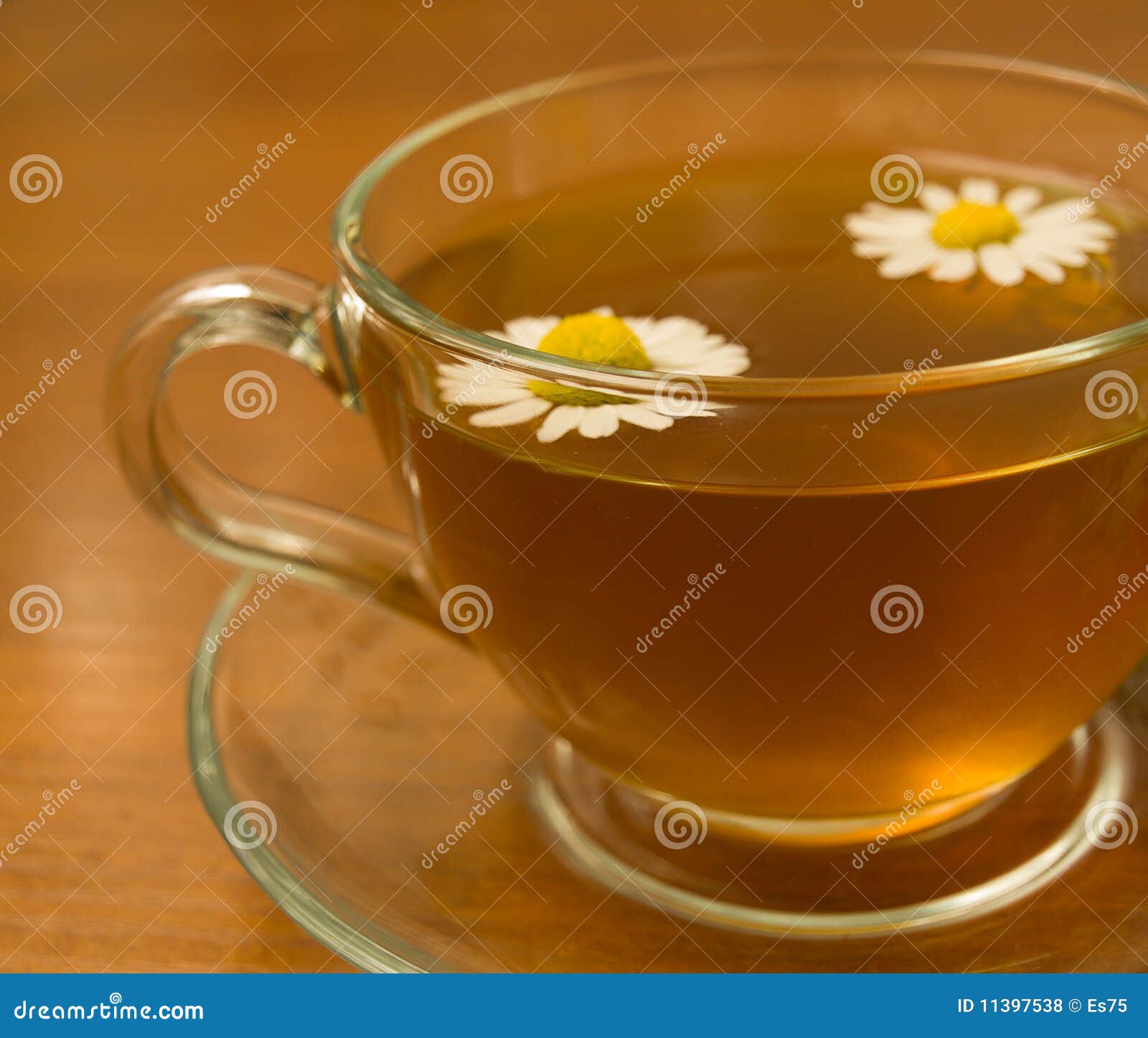 Herbal camomile tea stock photo. Image of beverage, freshness - 11397538