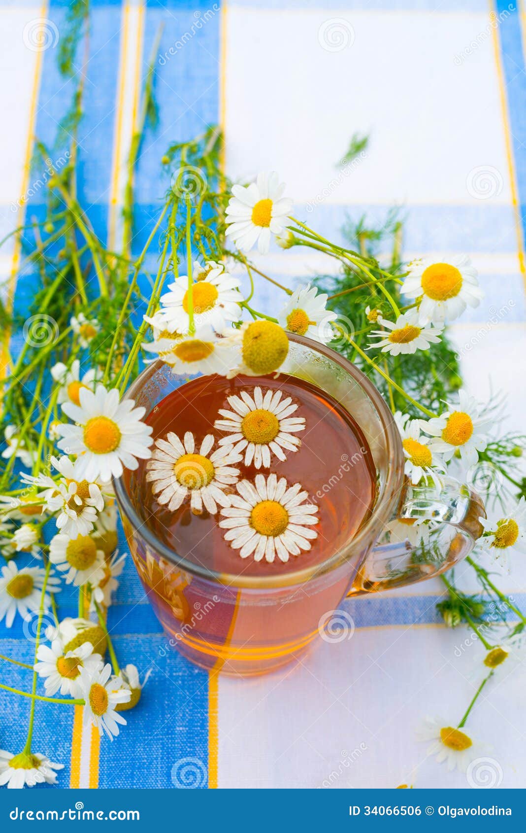 Herbal chamomile tea stock photo. Image of herb, chamomile - 34066506