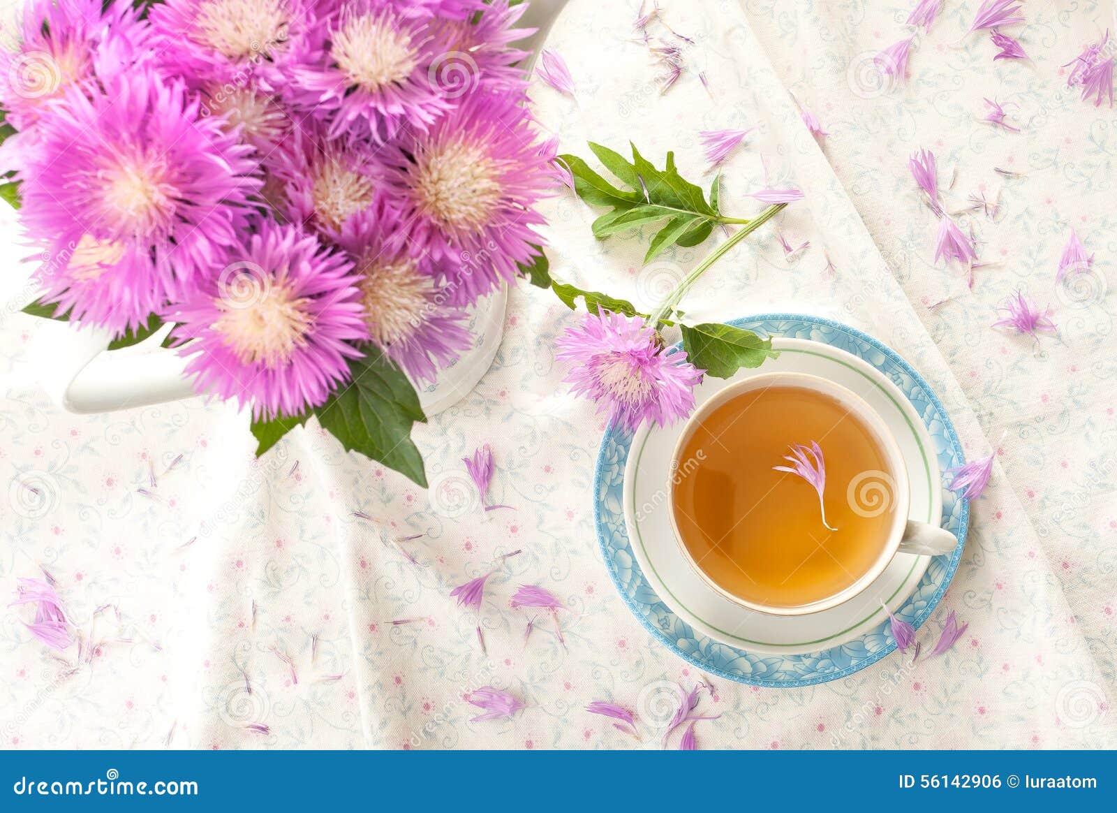 Herbal Cornflower tea stock photo. Image of freshness - 56142906