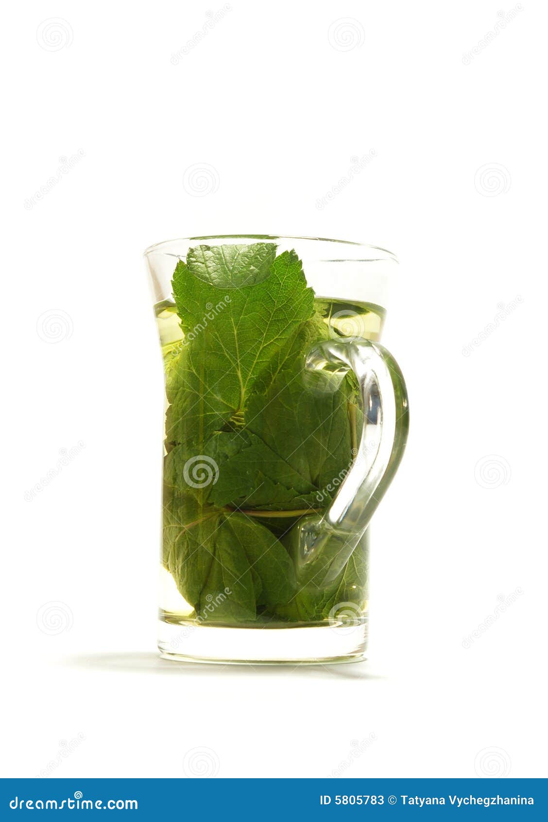 Herbal currant tea stock image. Image of closeup, medicine - 5805783