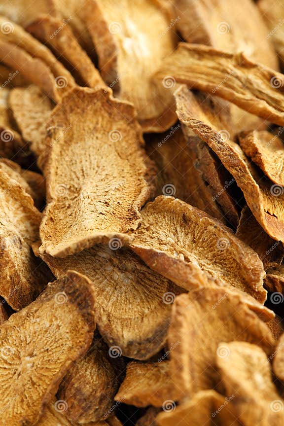 Herbal , dry burdock root stock image. Image of herbal - 30236915