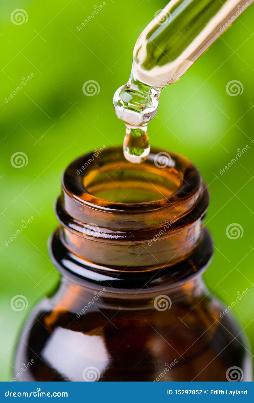 Herbal Essence Dropper stock photo. Image of glass, scented - 15297852