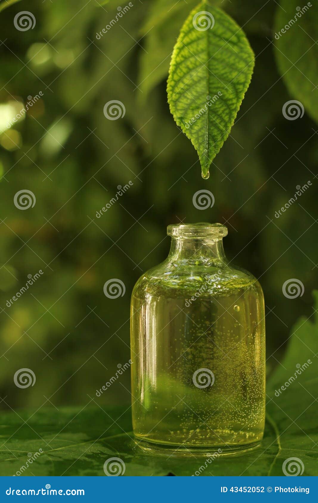 Herbal essence stock photo. Image of organic, scented - 43452052