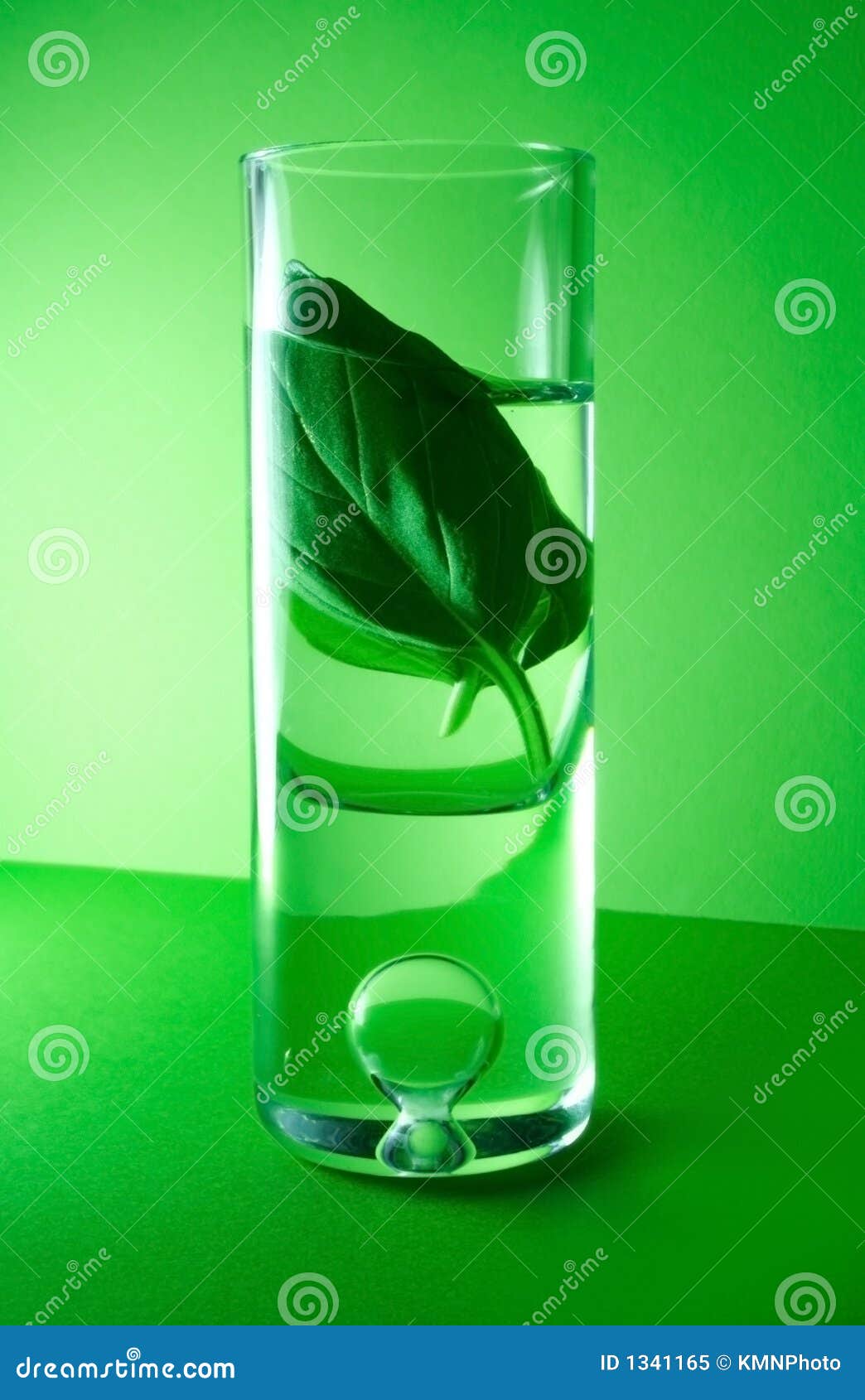 Herbal essences stock image. Image of clear, herb, aromatherapy - 1341165