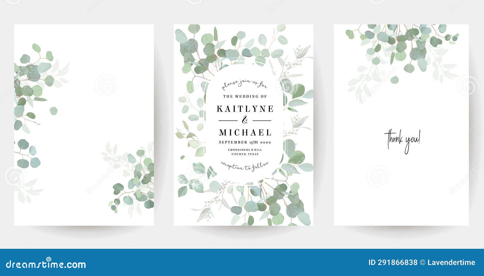 Herbal Eucalyptus Leaves Frame Isolated On A White Background, Greenery ...