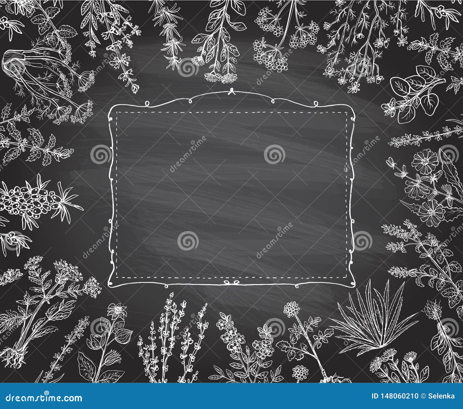 Herbal Frame on a Chalkboard Stock Vector - Illustration of card ...