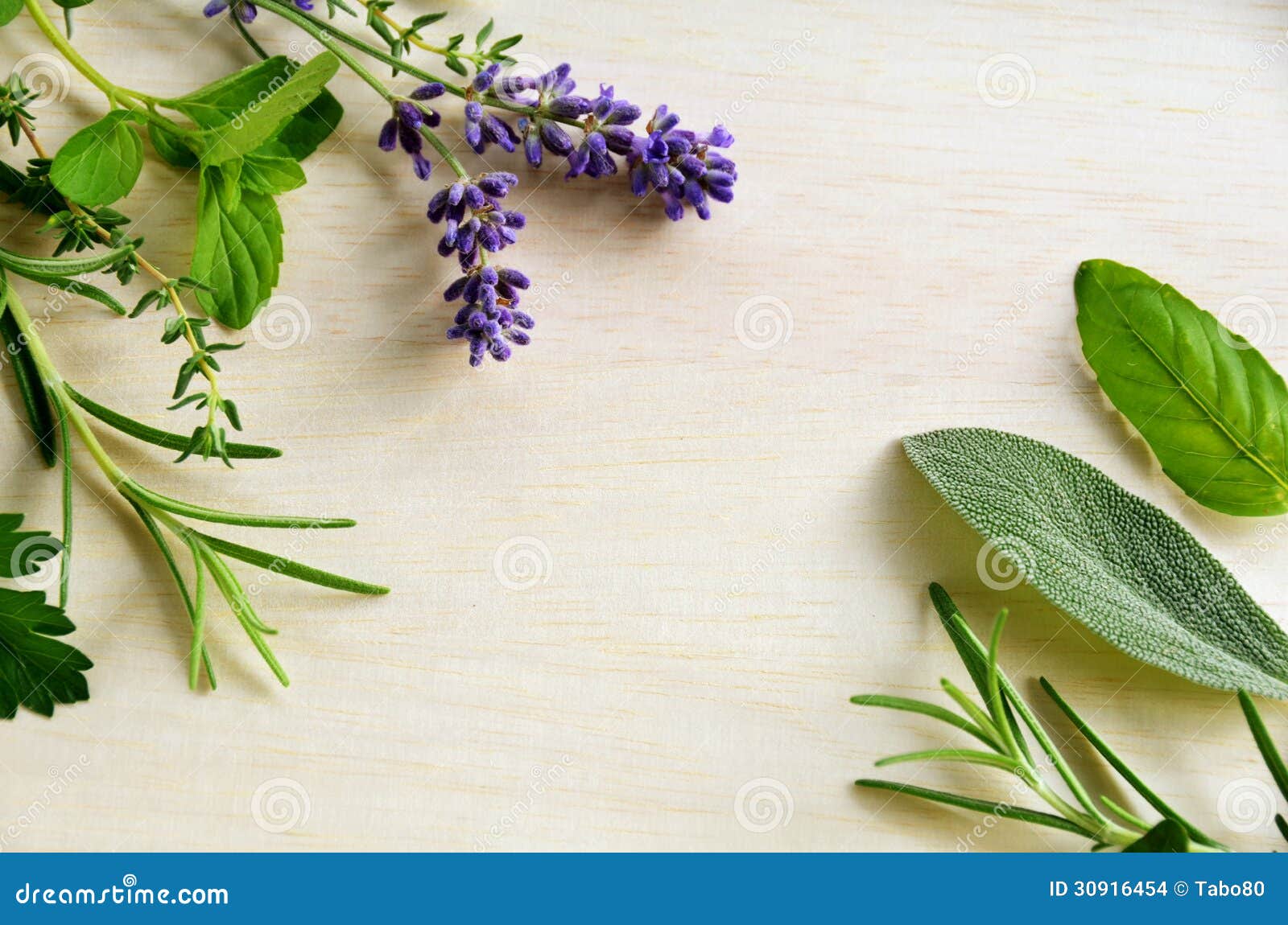 Herbal frame stock photo. Image of thyme, wooden, spice - 30916454