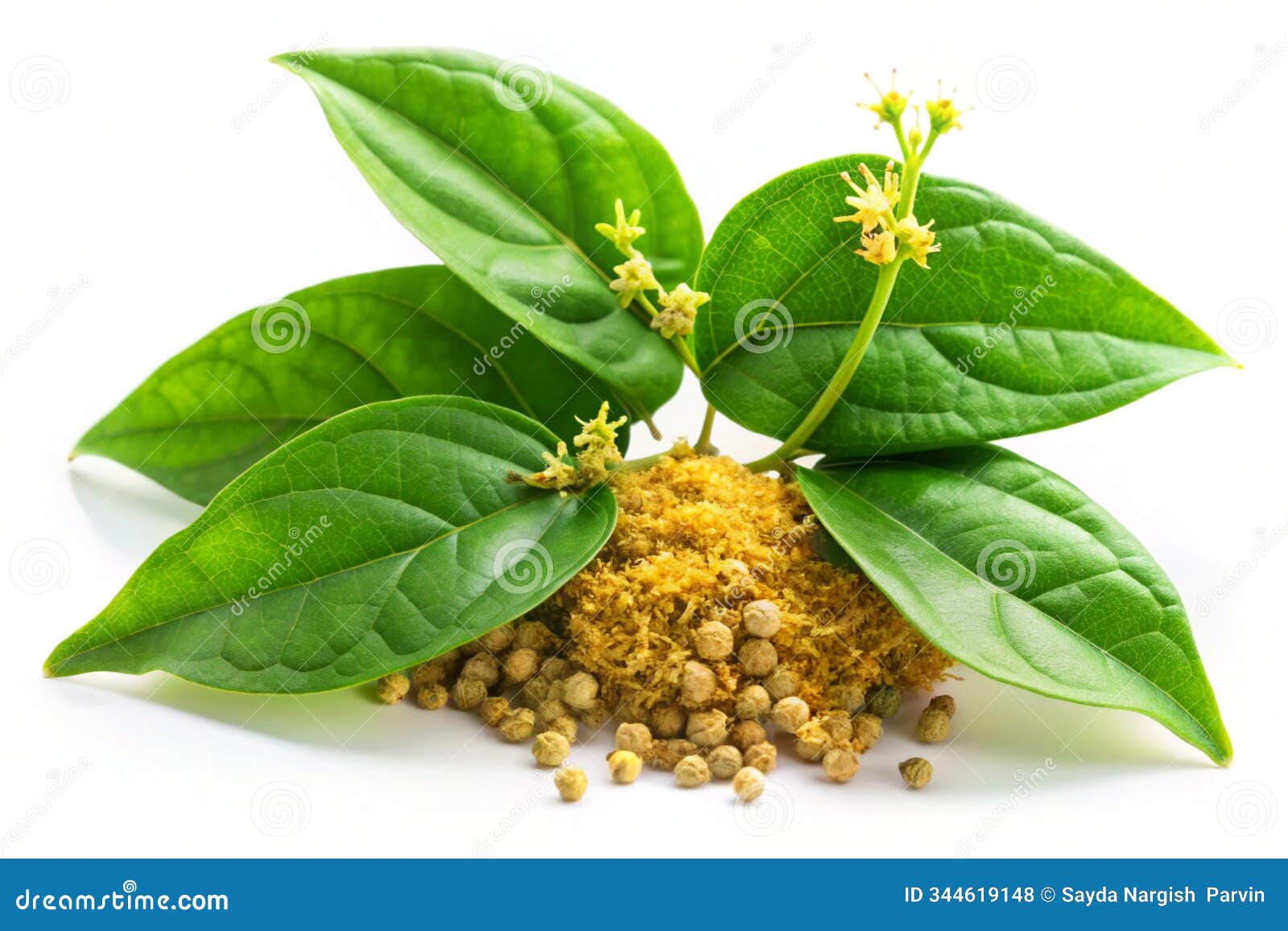 Herbal Gondho Badali with Flower, Isolated on White Background Stock ...
