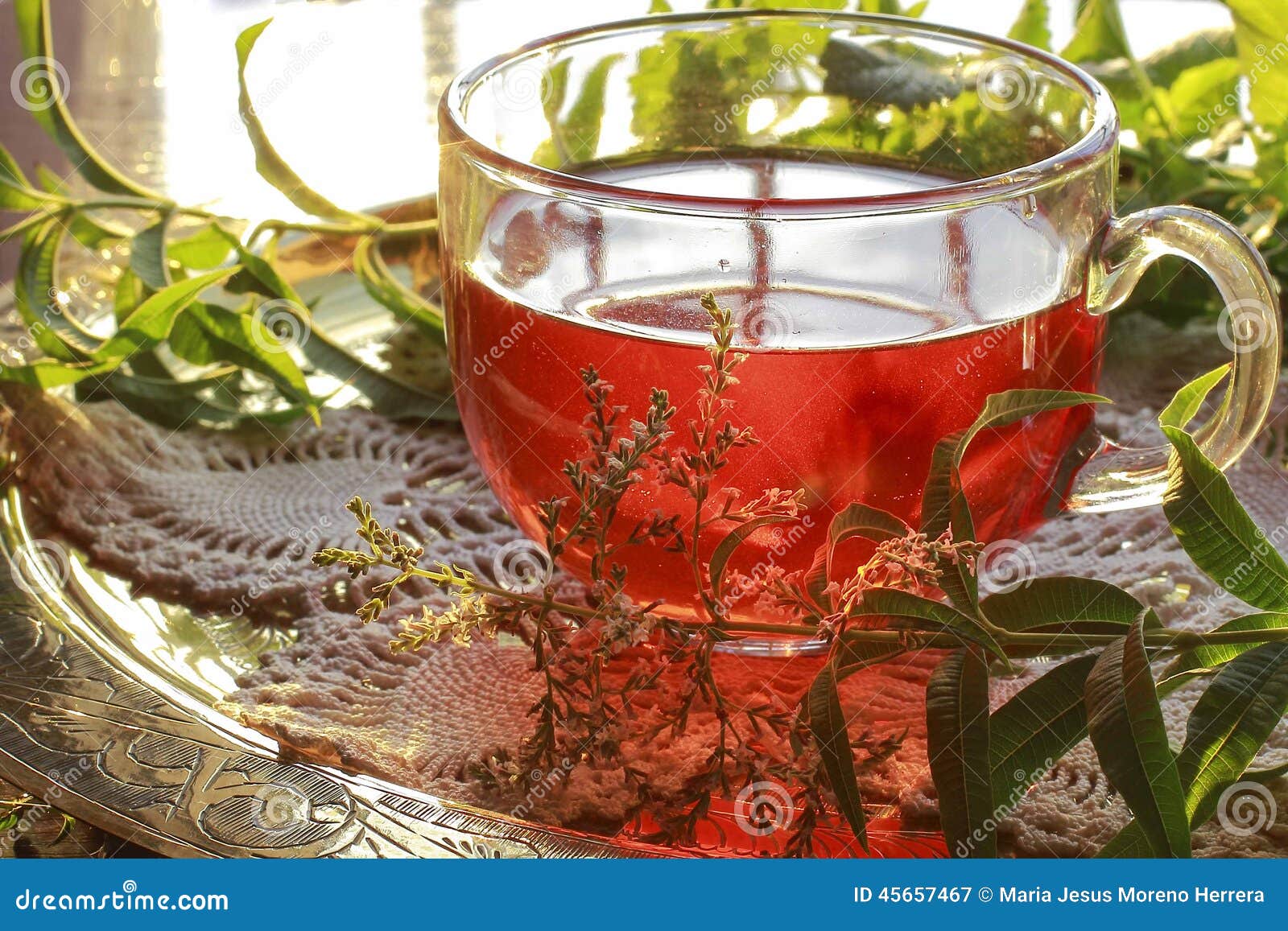 Herbal Infusion stock image. Image of natural, herbal - 45657467