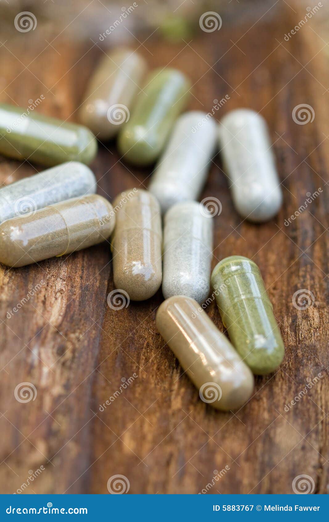 Herbal Medicine Capsules stock image. Image of herbal - 5883767