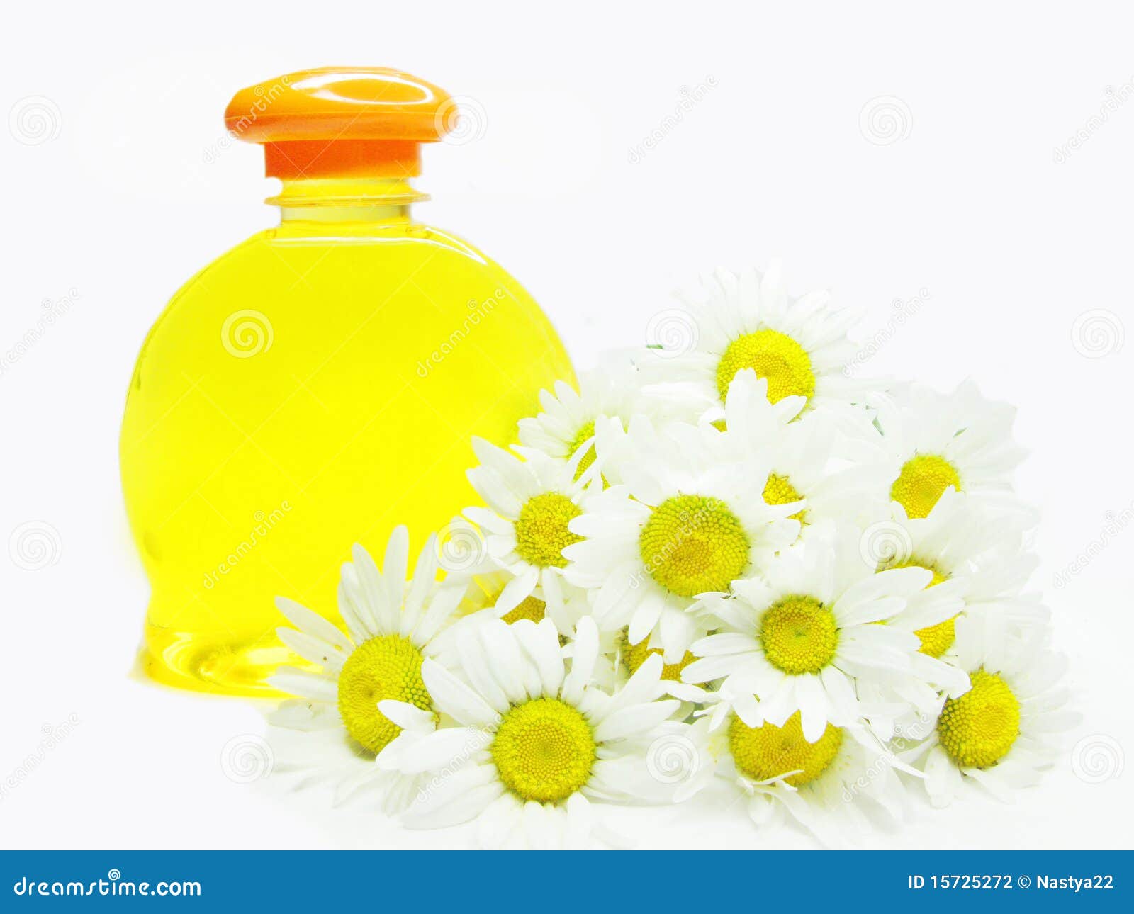Herbal Natural Shampoo Bottle among Daisy Flowers Stock Photo - Image ...